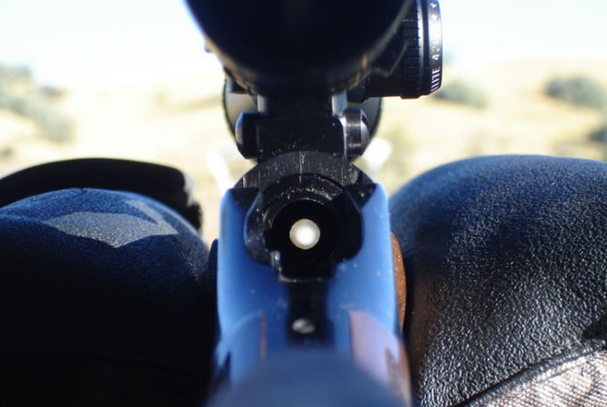 How to Boresight a Rifle: Ensuring Your Shot's Accuracy