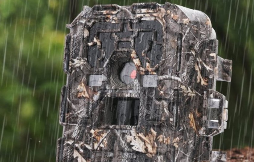 How do Trail Cameras Work: An Overview and Tips for Effective Usage