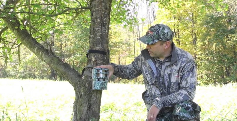 How do Trail Cameras Work: An Overview and Tips for Effective Usage