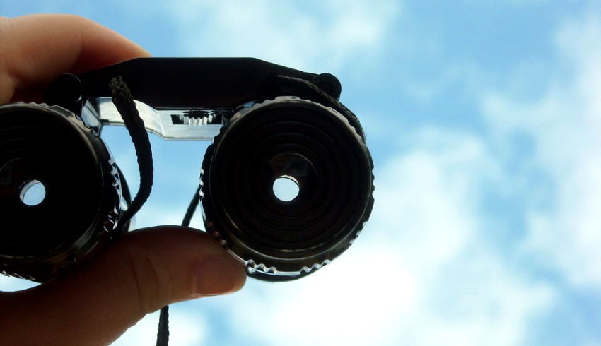 How to Choose Binoculars: Find What's Fit for Your Activity