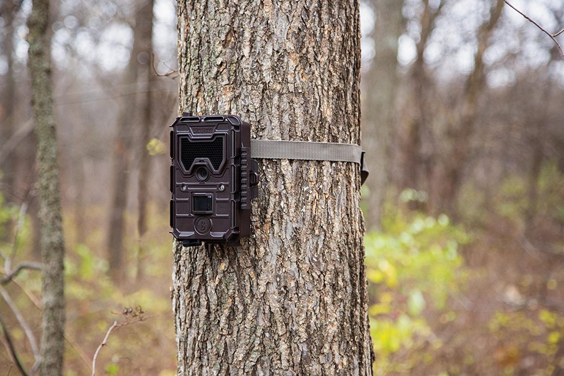 How do Trail Cameras Work: An Overview and Tips for Effective Usage