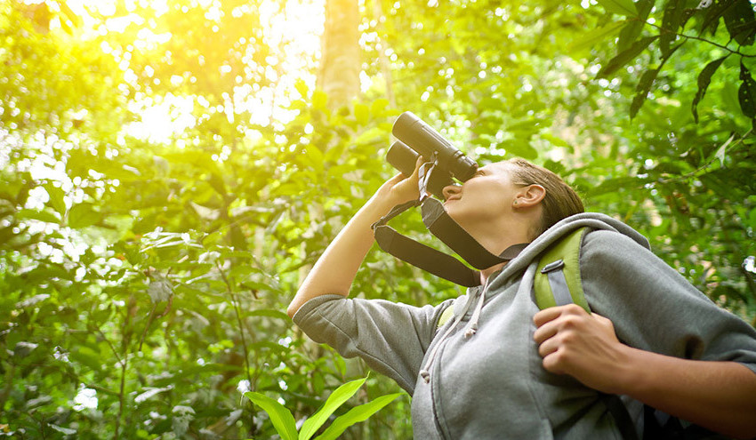 Best Birding Binoculars: Expert's Top Recommendations and Buying Guide