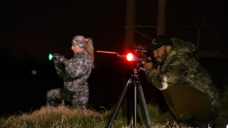 7 Best Lights For Coyote Hunting At Night 2023 - Buying Guide